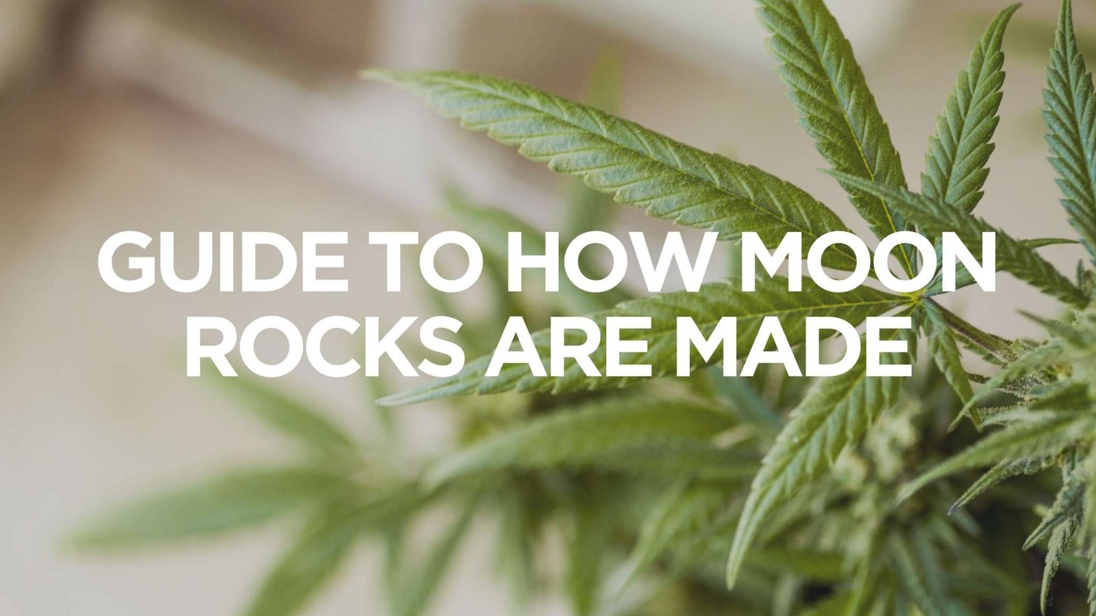 Guide to How Moon Rocks are Made - The Caviar Collection